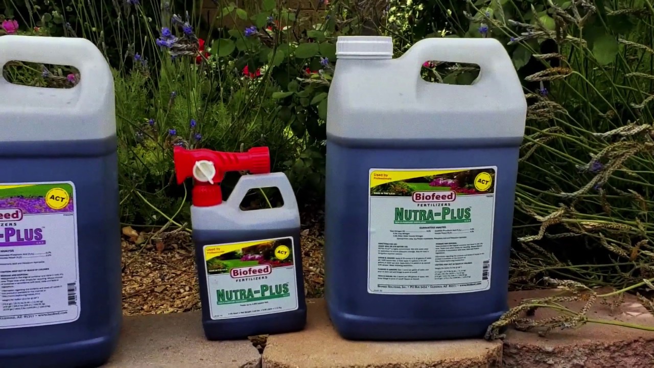 Biofeed Fertilizers Review - Nutra Plus : Multi-Purpose Fertilizer ...