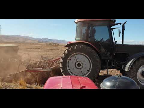 Tohum ekimi Elazığ