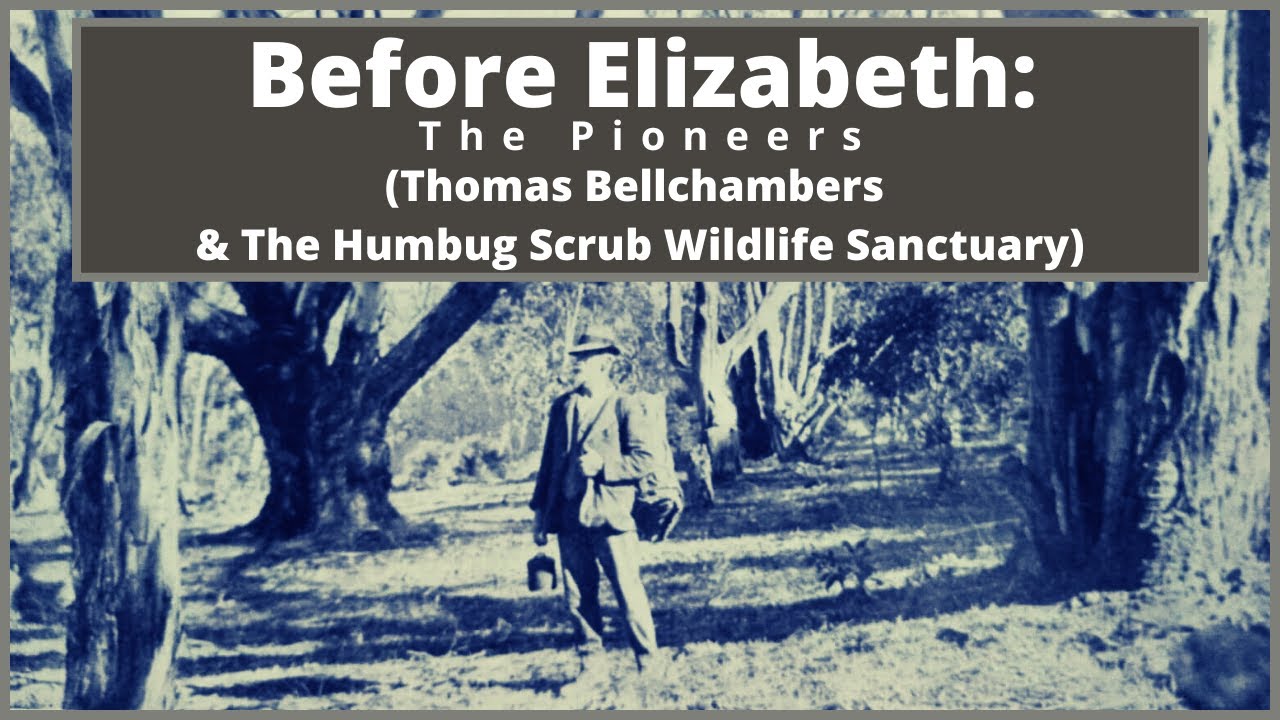 Before Elizabeth: The Pioneers (Thomas Bellchambers & The Humbug Scrub ...