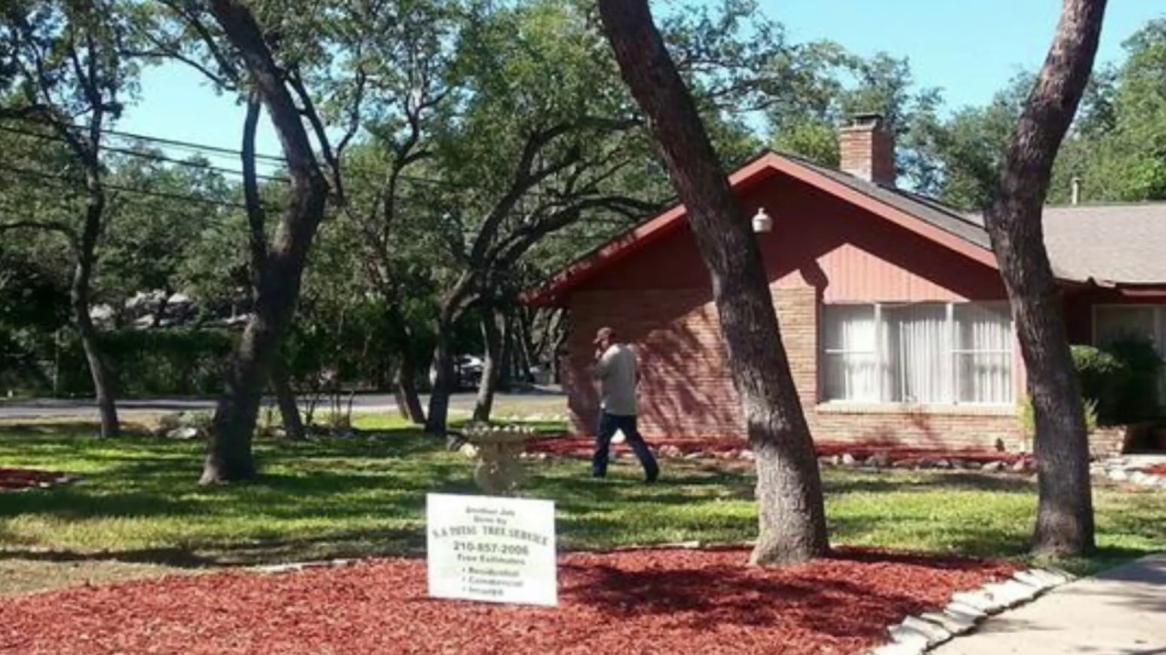 Total Tree Service San Antonio Texas | Free Estimate (210) 857-2006 ...