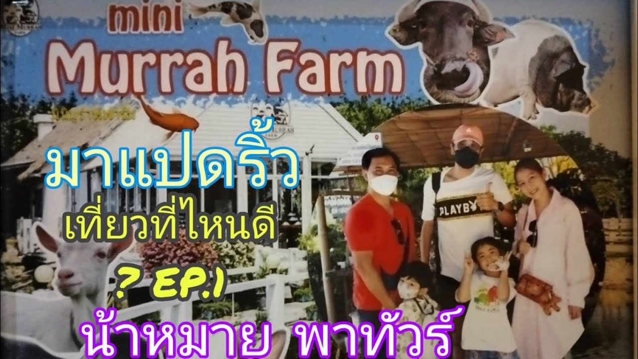 มาแปดริ้ว….เที่ยวที่ไหนดี? น้าหมายพาทัวร์ EP.1 mini Murrah Farm #เที่ยว ...
