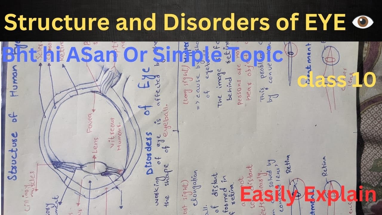 Structure Of Eye I Disorders Of Eye I Myopia and Hypermetropia I class ...