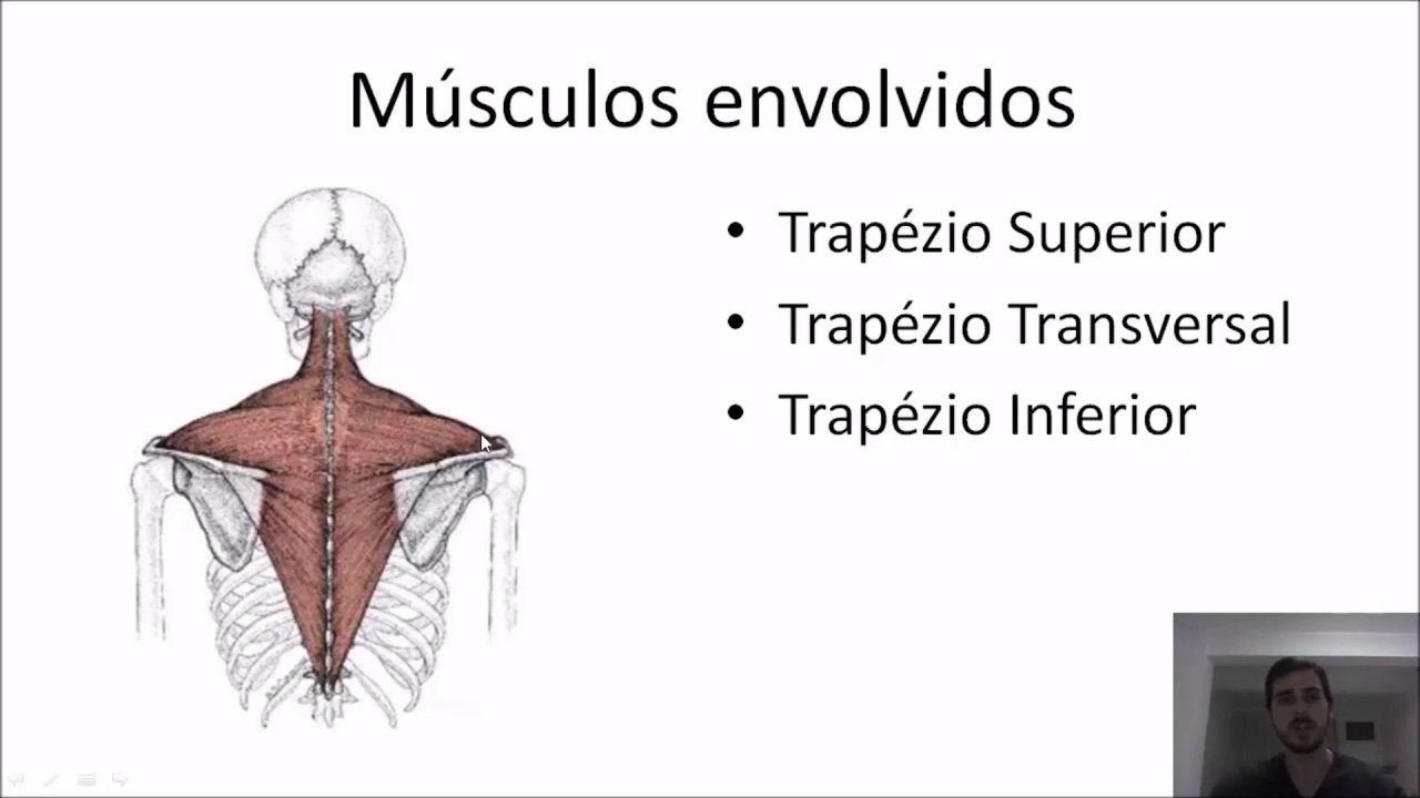 [CINESIOLOGIA E BIOMECÂNICA] - Cintura escapular - YouTube