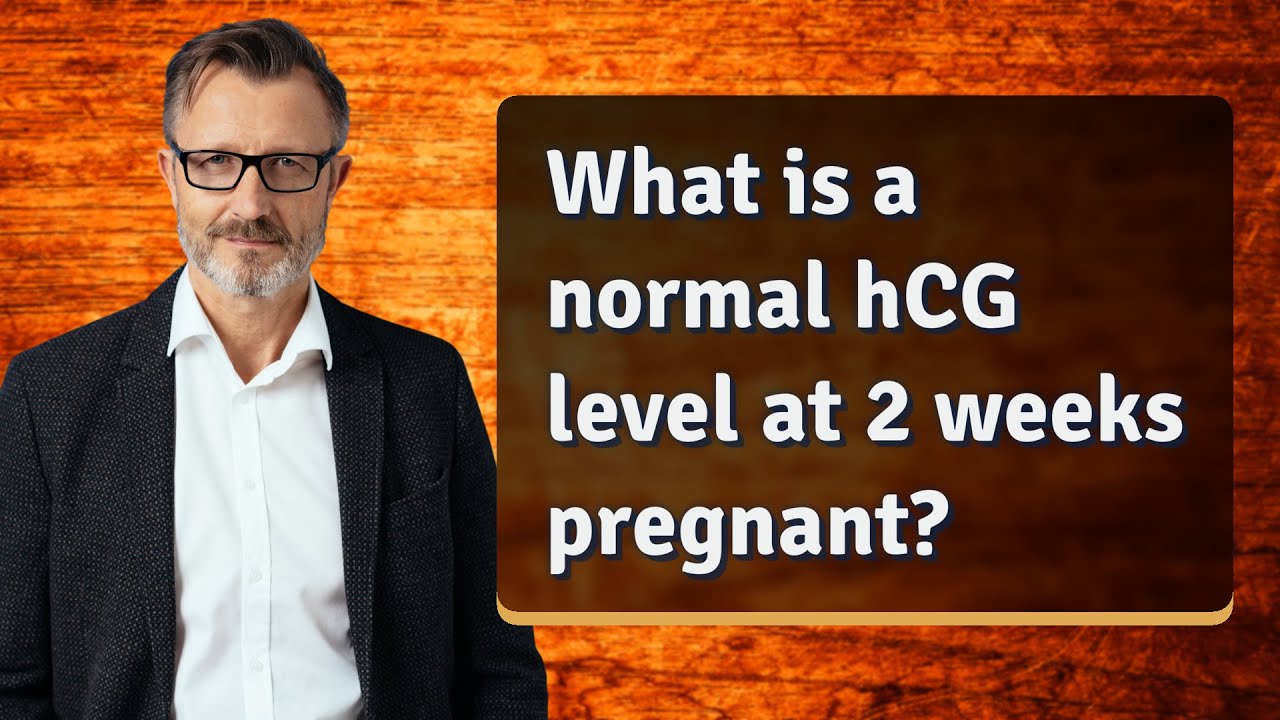 What is a normal hCG level at 2 weeks pregnant? - YouTube