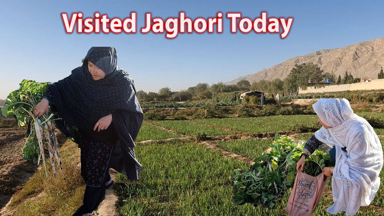 Jaghori in Hazara Town | Visited Jaghori bagh in Hazara Town, Quetta ...