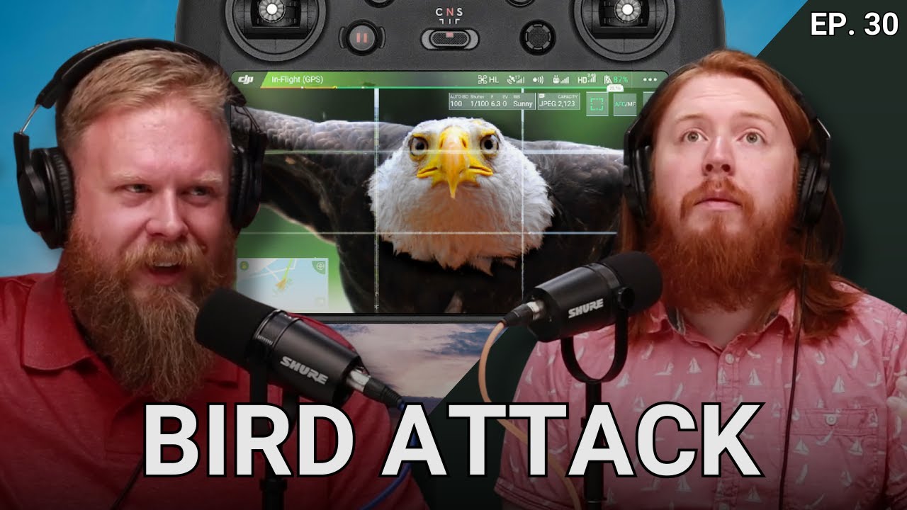 What should you do if a bird attacks your drone? - YouTube
