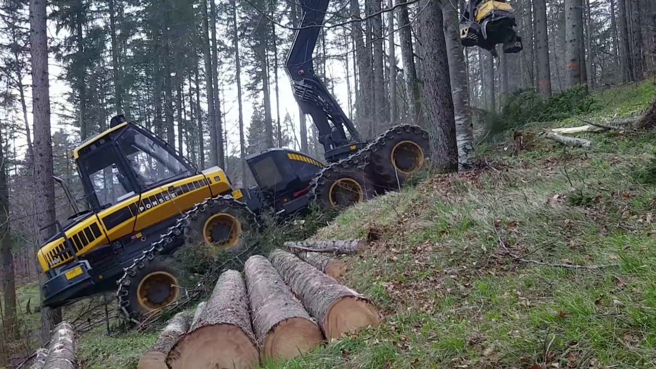 Ponsse Ergo 8W C44 H7 - YouTube