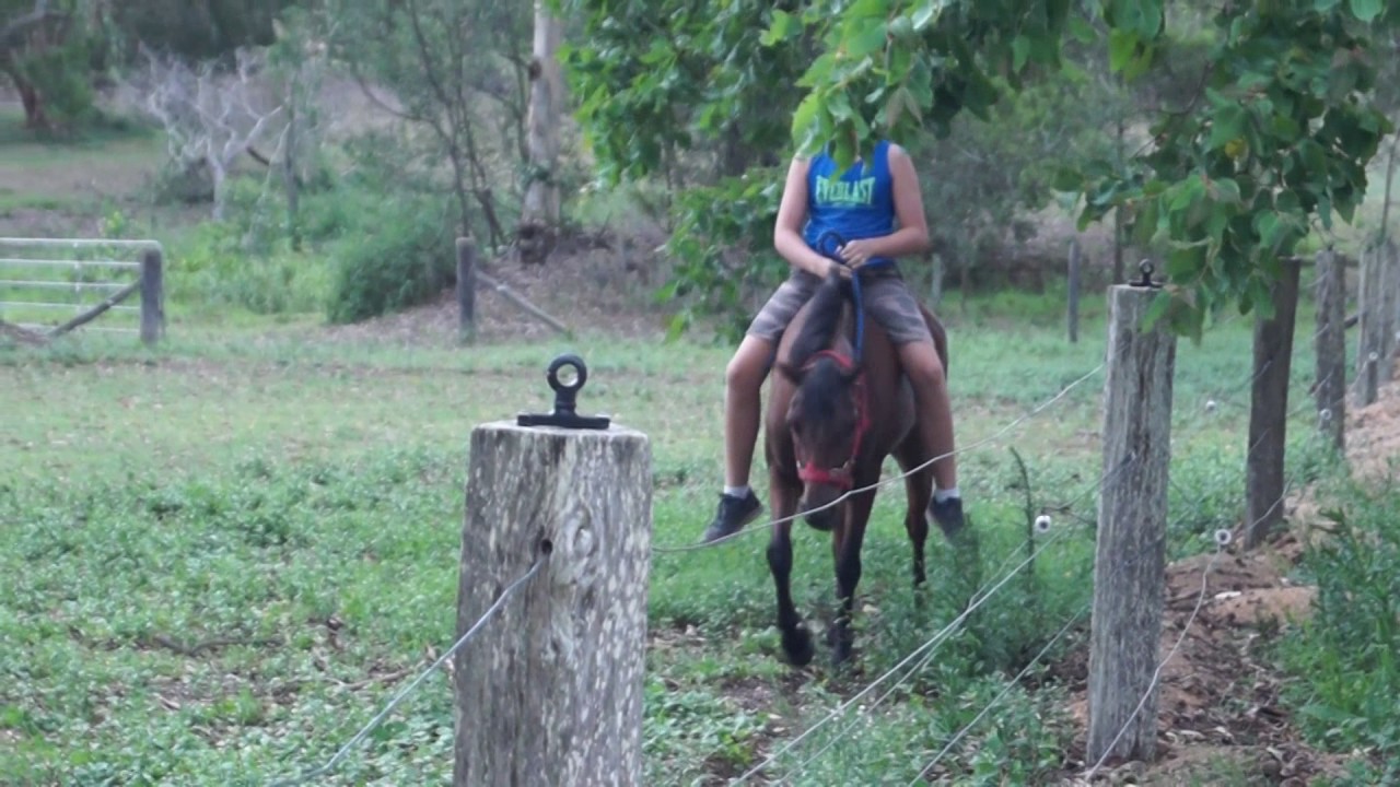 Namoi Valley Masquerade (aka Macca) - YouTube