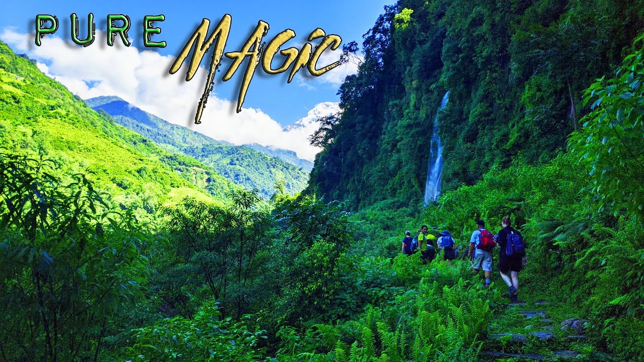 The Magical World of the Himalayas - YouTube