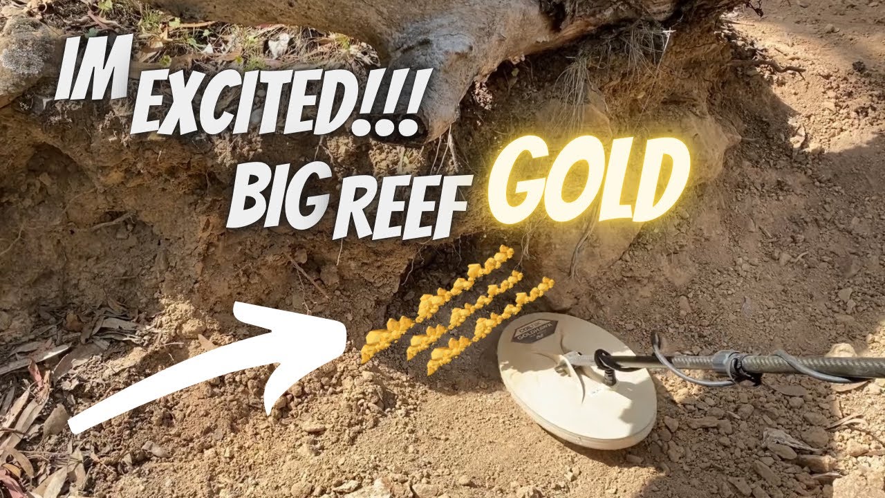 A great late afternoon Gold Reef detecting session. - YouTube