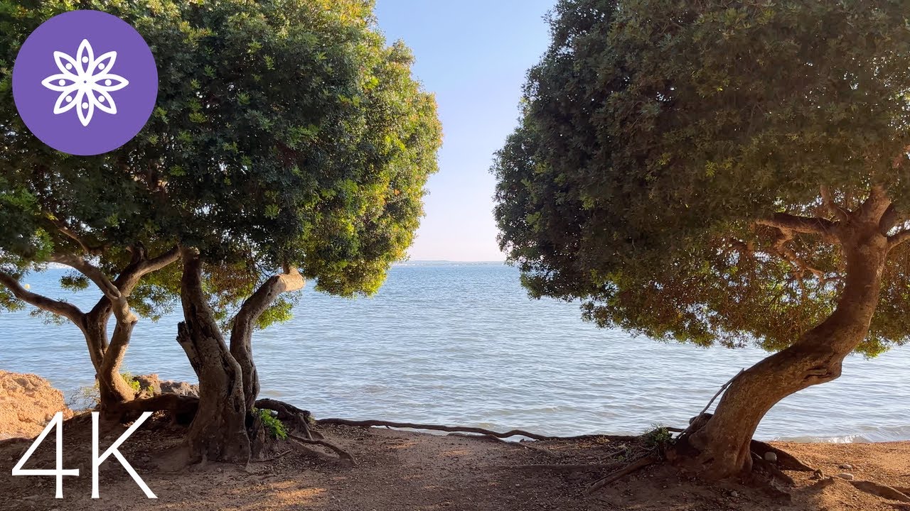 Mallorca 4K 60fps // Walk in Alcudia (Alcanada Beach Part I) - YouTube