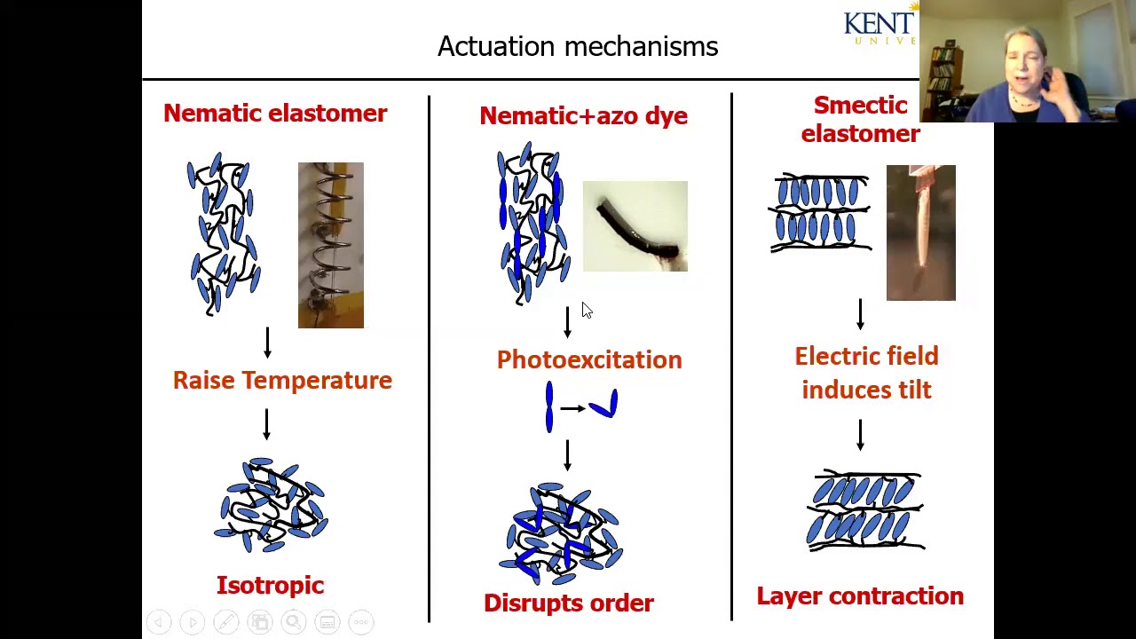 Robin Selinger (Kent State University), Modeling Mechanical Actuation ...