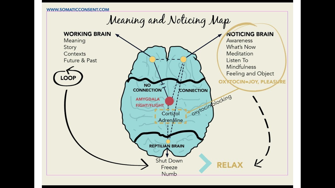 Meaning and Noticing Map - YouTube