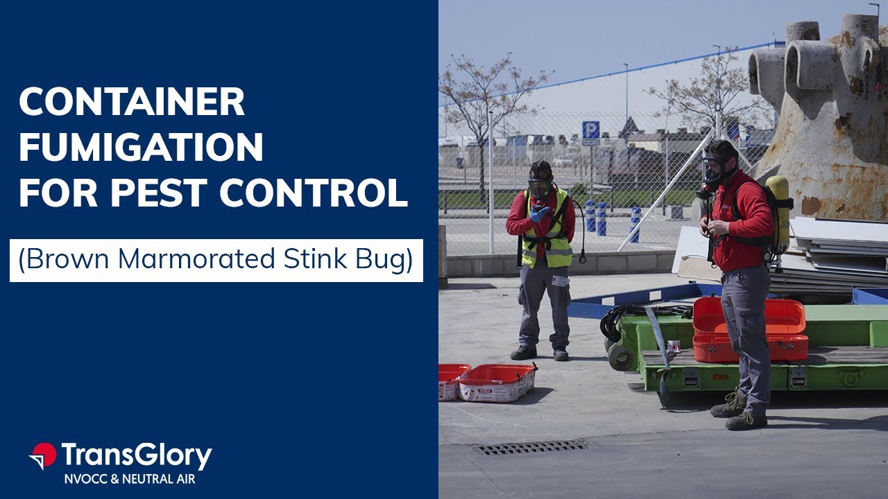 Container fumigation proceadure for BMSB - YouTube