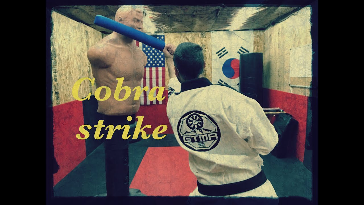 Stick fighting Training For Beginners | Cobra Strike | P1 - YouTube