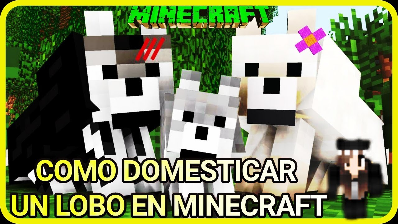 COMO DOMESTICAR UN LOBO/PERRO EN MINECRAFT|MINECRAFT JAVA|2022|ESPAÑOL ...