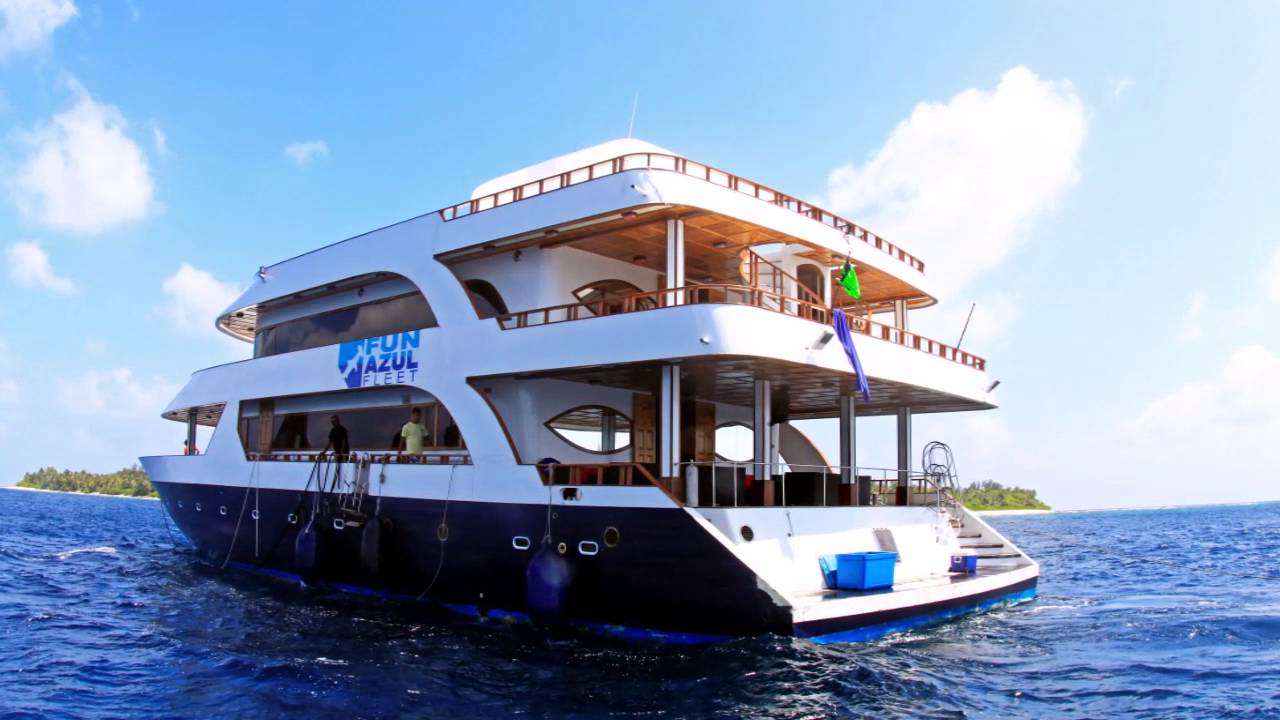 MALDIVES DIVE SAFARI - YouTube