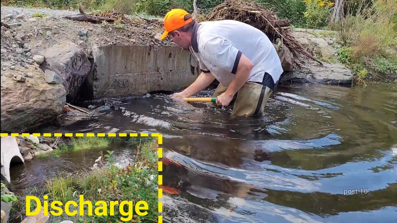 Unclogging A Large Culvert With Overnight Beaver Camera Building Back ...