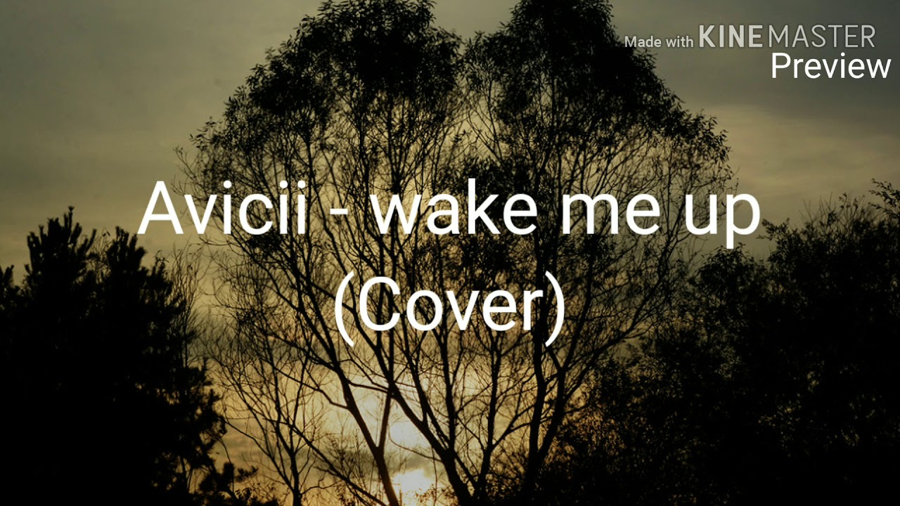 Avicii - Wake me up(cover) ☆210 SPECIAL☆ preview 아비치 - wake me up(cover ...