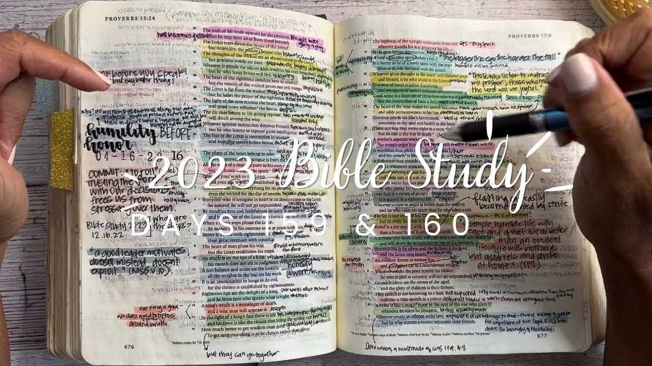 Days 159 &160 Proverbs 16-21 - YouTube