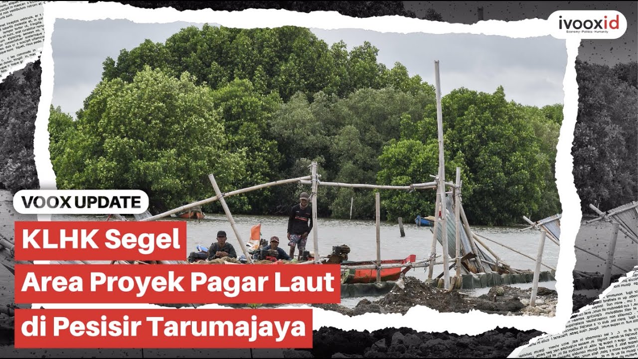 KLHK Segel Area Proyek Pagar Laut di Pesisir Tarumajaya - YouTube