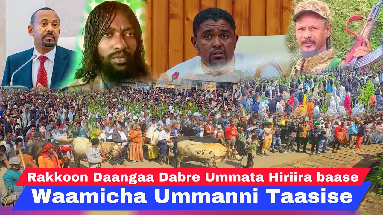 Ummanni Rakkate Mootummaafi Waboof Waamicha Marii Nagahaa taasise ...