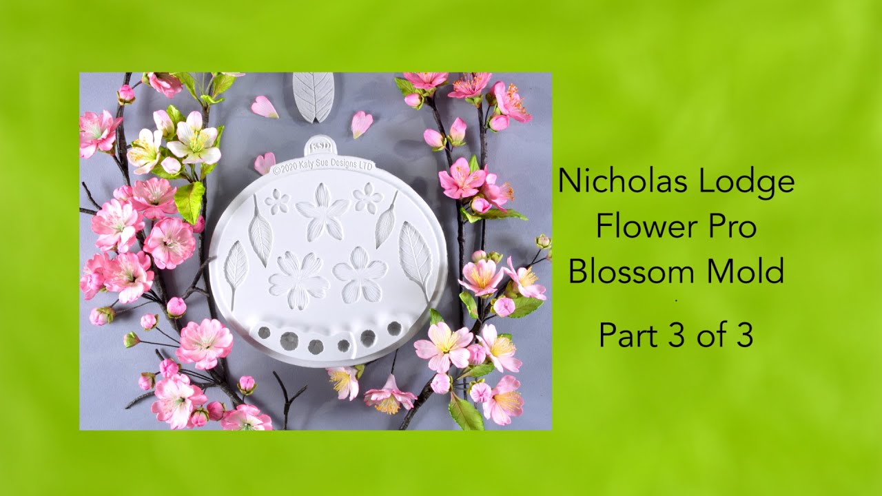 Nicholas Lodge Flower Pro Blossom Mold Part 3 - YouTube