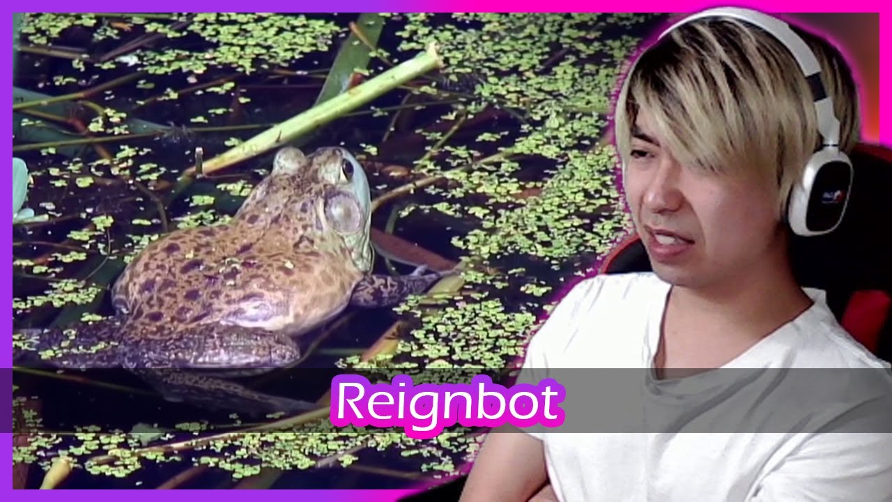 bdn Watches #84: The Woman Who Coughs Up Frogs by Reignbot - YouTube