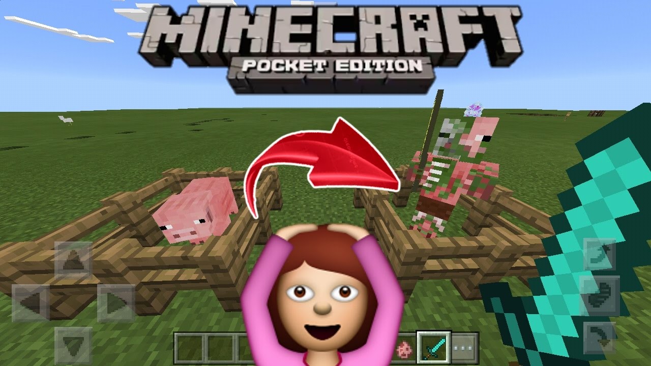 Hombres Cerdo Zombies De Minecraft En La Vida Real Cómo Tener El