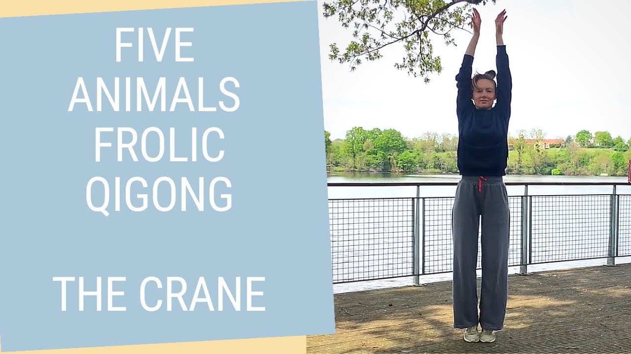 The White Crane Movement - Qigong Five Animals Frolic - YouTube