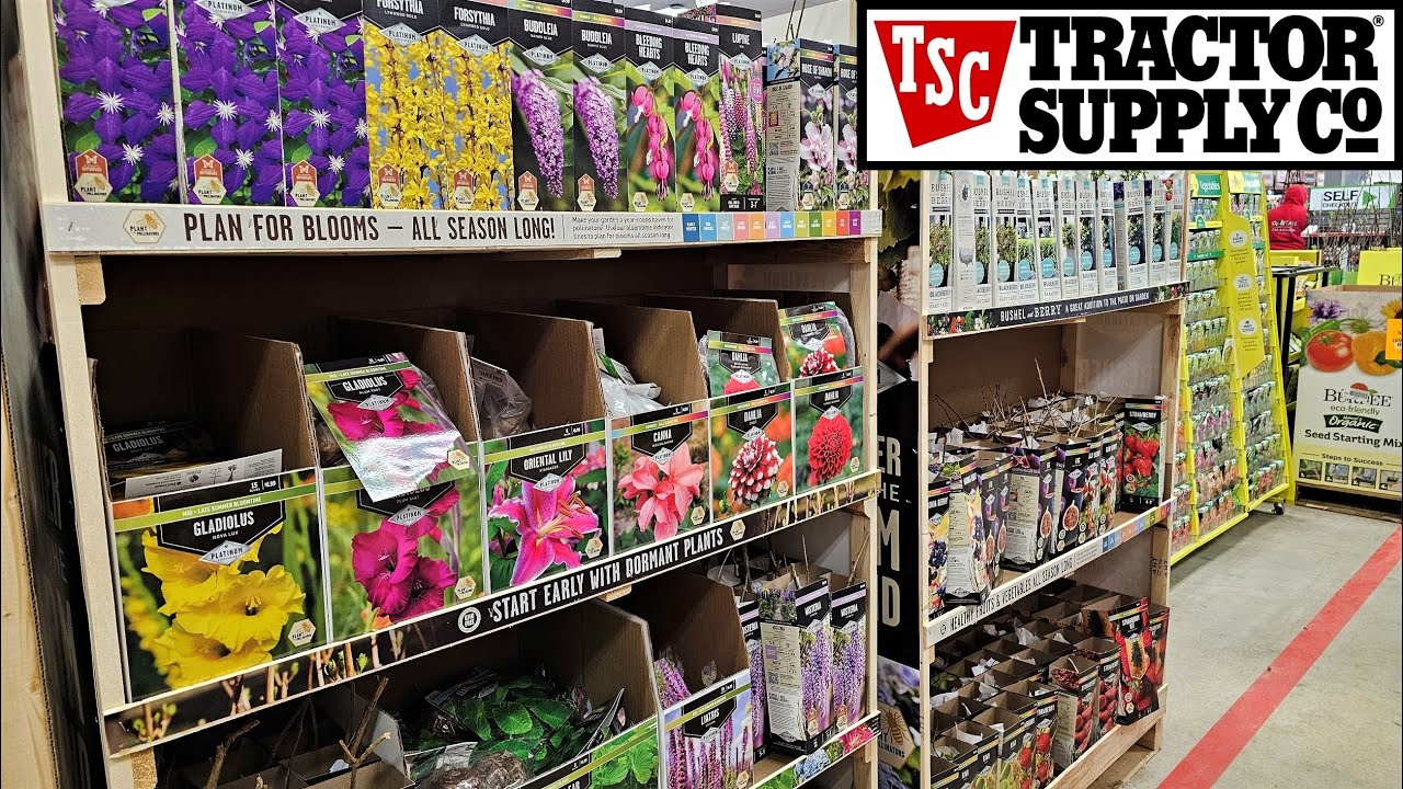 Tractor Supply Inventory February 2023 Summer Bulbs, Bare Root ...