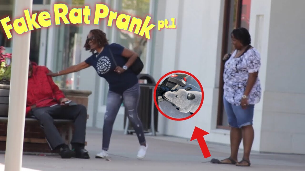 Fake Rat Prank Pt.1 - YouTube