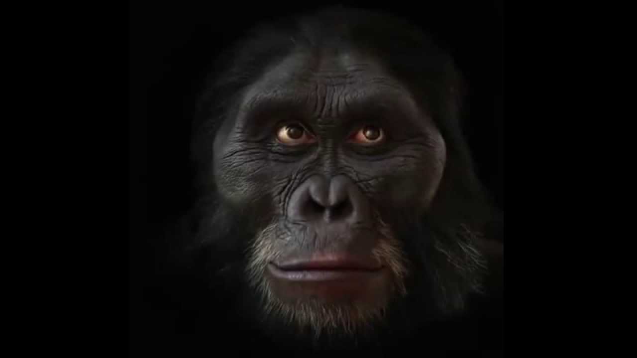 how man evolved|Evolution of man on Earth - YouTube