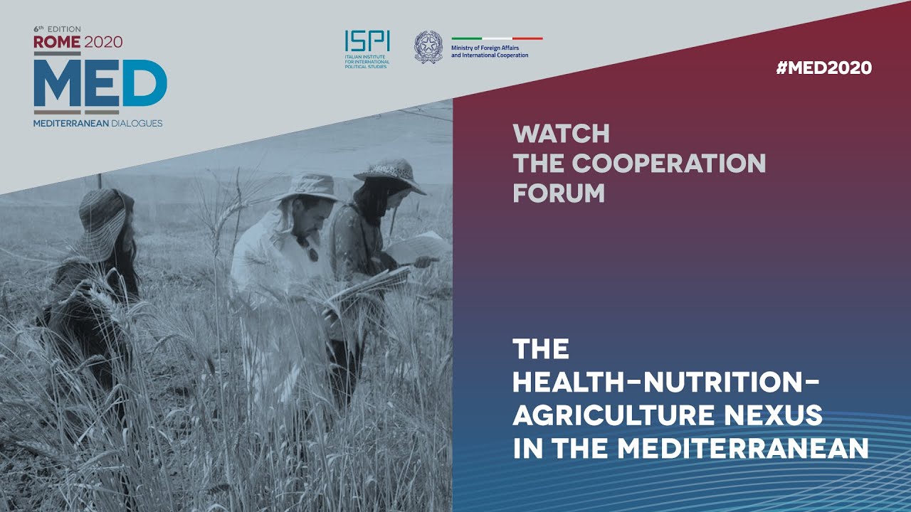 #MED2020 | Cooperation Forum - YouTube