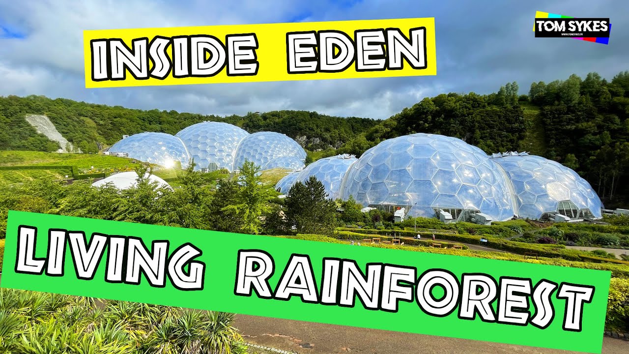 The Eden Project Walkthrough - Indoor Rainforest - June 2022 (4K) - YouTube