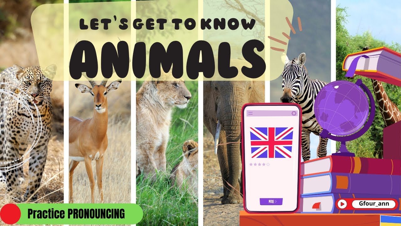 Kids vocabulary - Common Animals - Learn English for kids - English ...