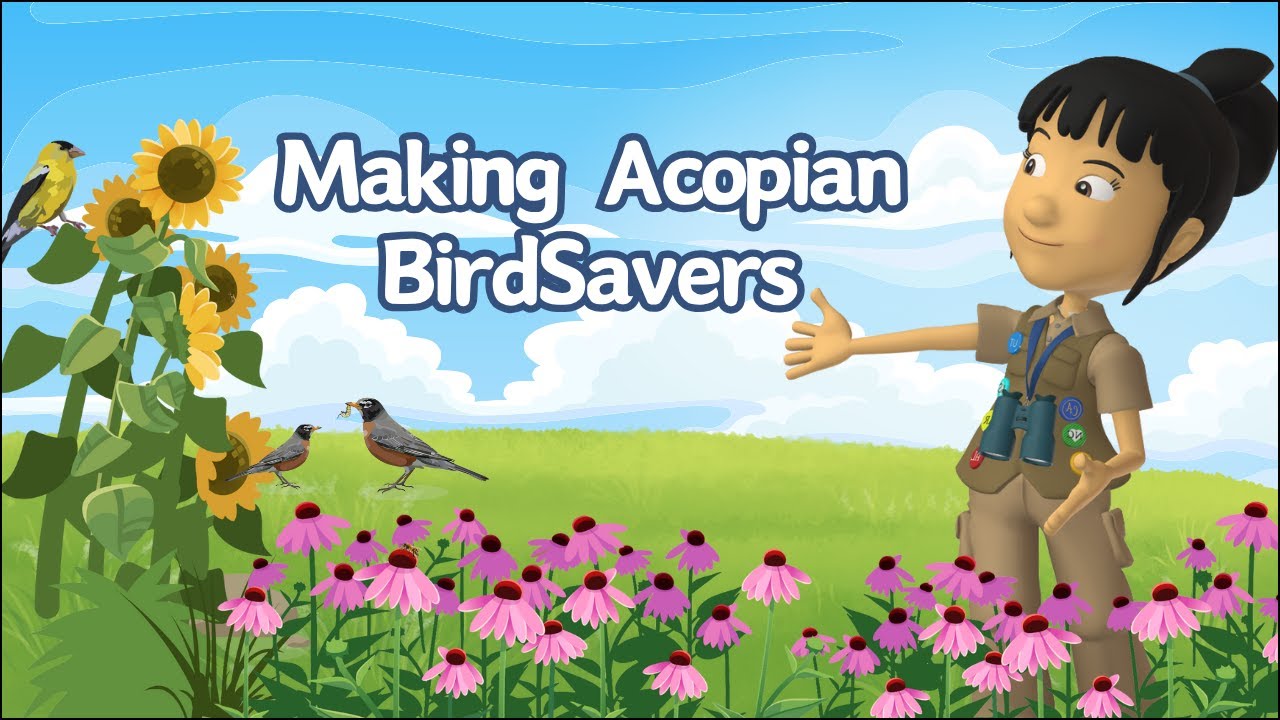 A WonderGrove for Birds: Make Acopian BirdSavers - YouTube