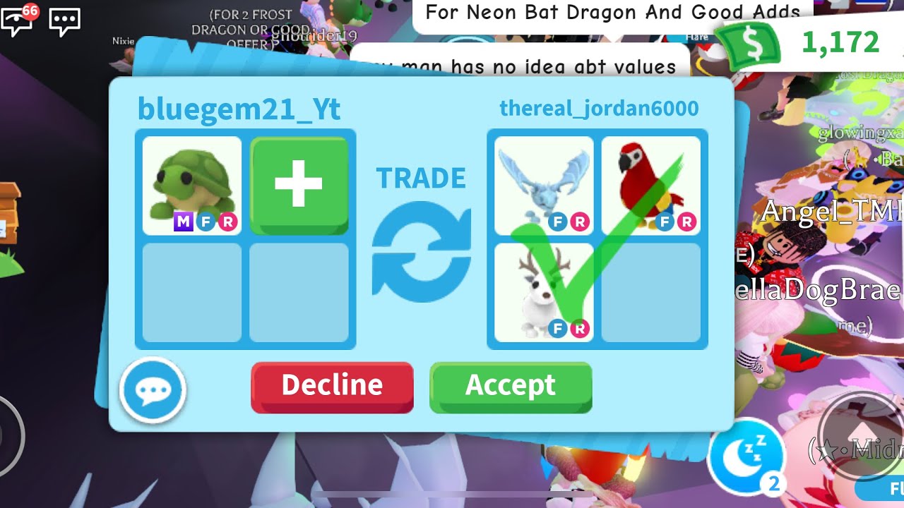 Seeing offers for MFR turtle - YouTube