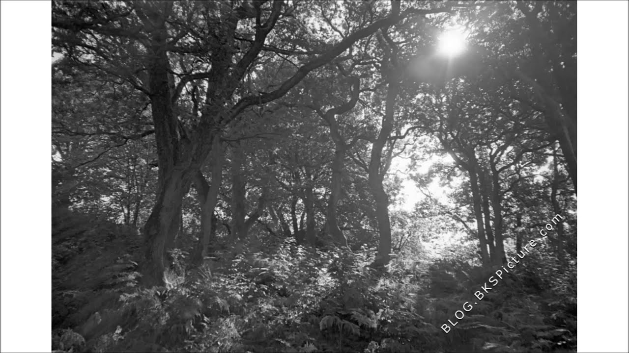 Pentax Espio 70 (Sample pictures)