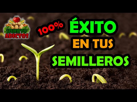 5 Trucos FÁCILES para Tus Semilleros 🌱 Consejos rápidos para Sembrar | Huerto Adictos 🍅