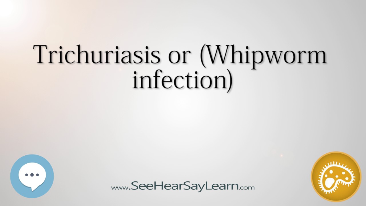 Trichuriasis or Whipworm infection 🔊 - YouTube