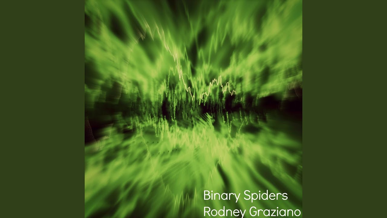 Binary Spiders - YouTube