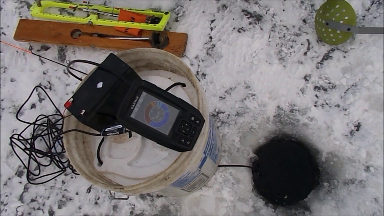 using the FISH CALL - YouTube