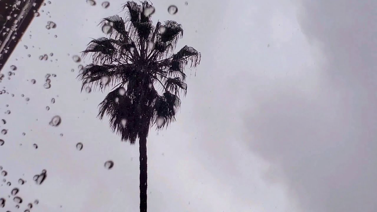 December 28, 2020 - YouTube