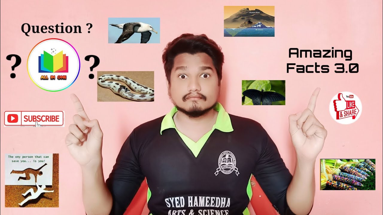 Amazing Facts 3.0 🎙️| About our Logo? 🤔 - YouTube