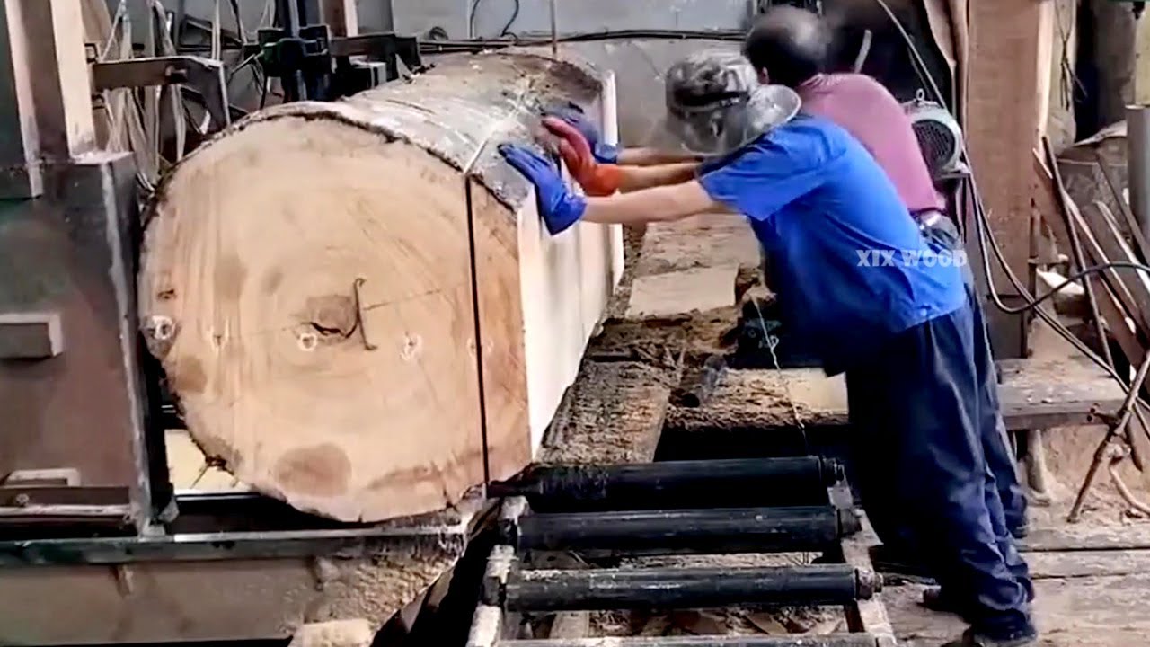 HOW TO CUTTING WOOD PROFESSIONALLY EP151 #satifying #cutting #wood ...