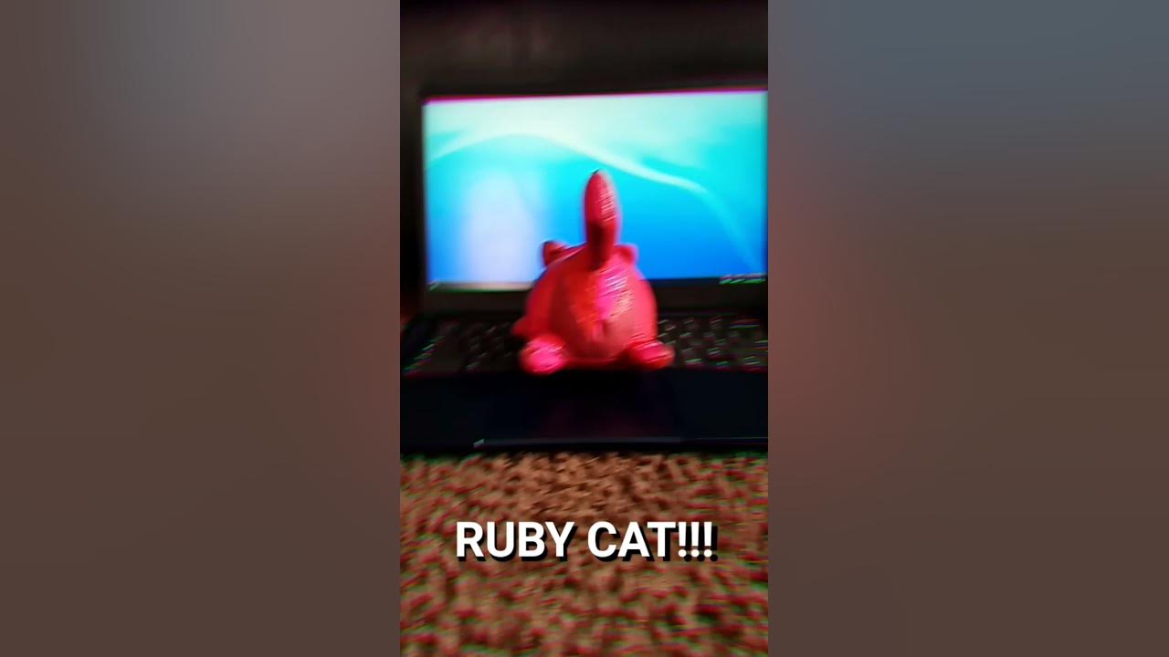 Ruby Cat Meemeow Youtube