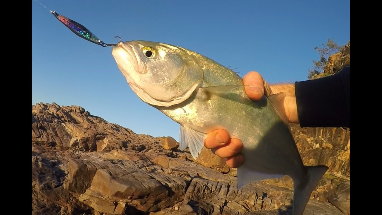 Tailor Fishing With Light Gear at Sunshine Beach - YouTube