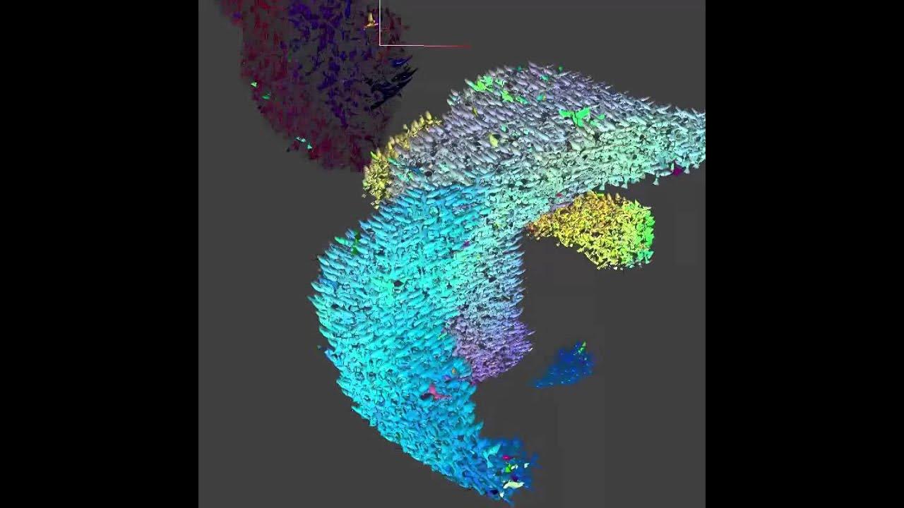 OpenCL boid Simulation - YouTube