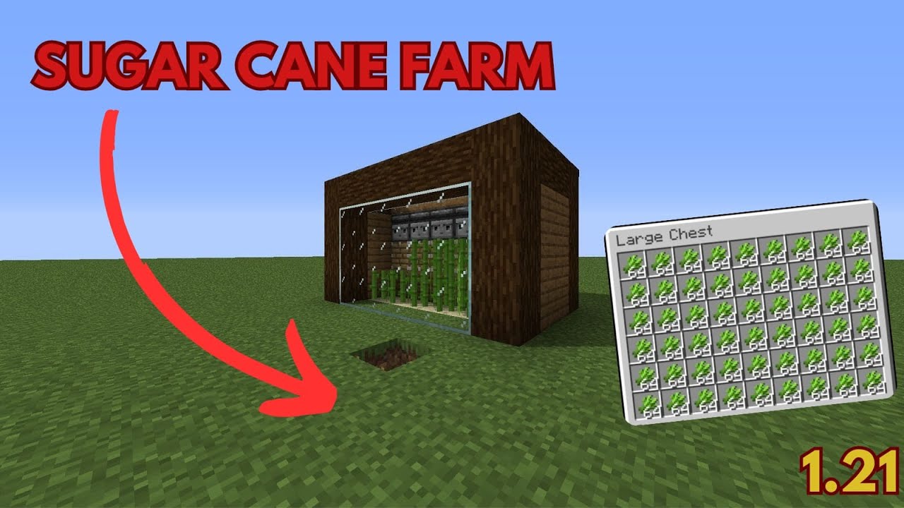 SIMPLE SUGAR CANE FARM TUTORIAL 1.21.x [Minecraft Java & Bedrock] - YouTube